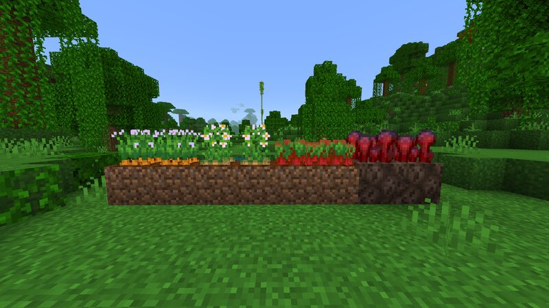 Full Crop Growth Hint | Bedrock Tweaks Minecraft Texture Pack