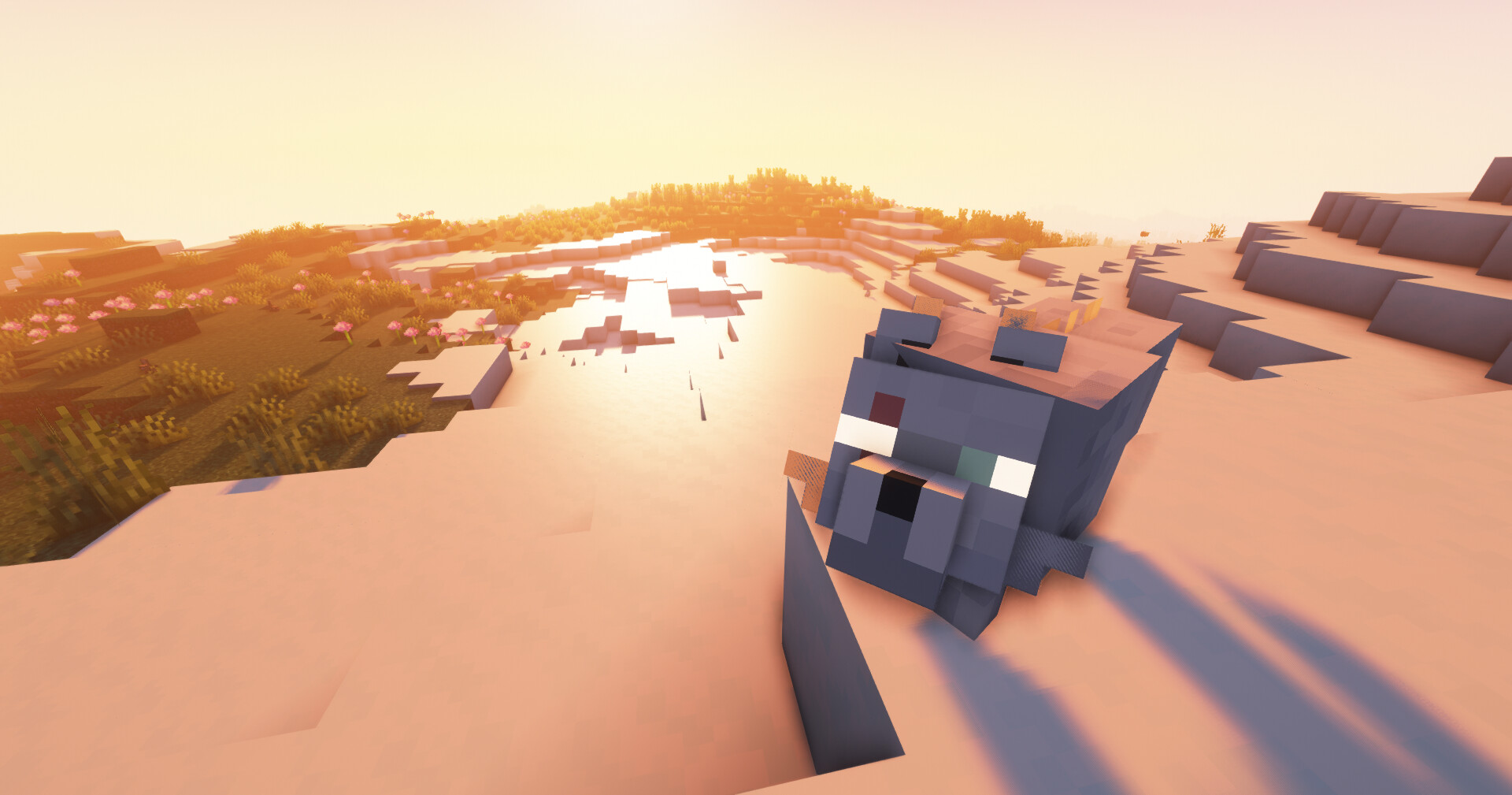 Better Wolves 1.19 MINI UPDATE Minecraft Texture Pack