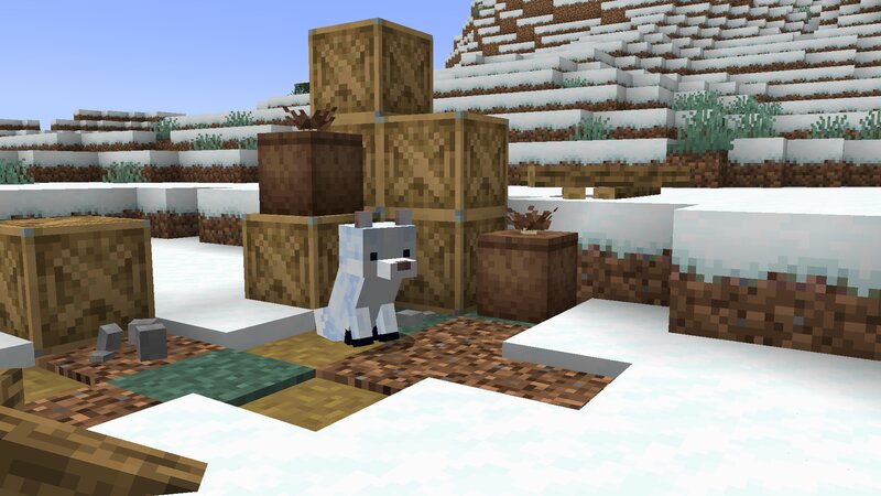 Astra's Amazing Foxes - Resourcepack Minecraft Texture Pack