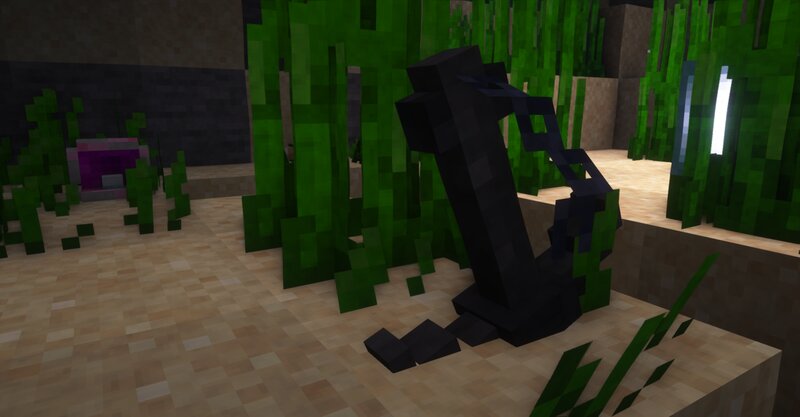 Seagrass variation 1.19 (no optifine) Minecraft Texture Pack