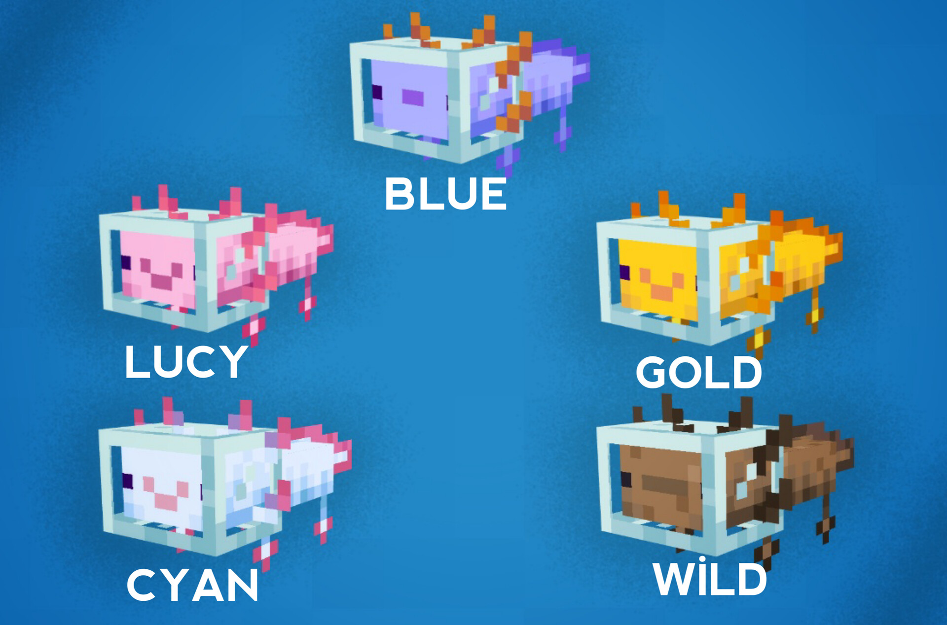 Astronaut Axolotls Minecraft Texture Pack