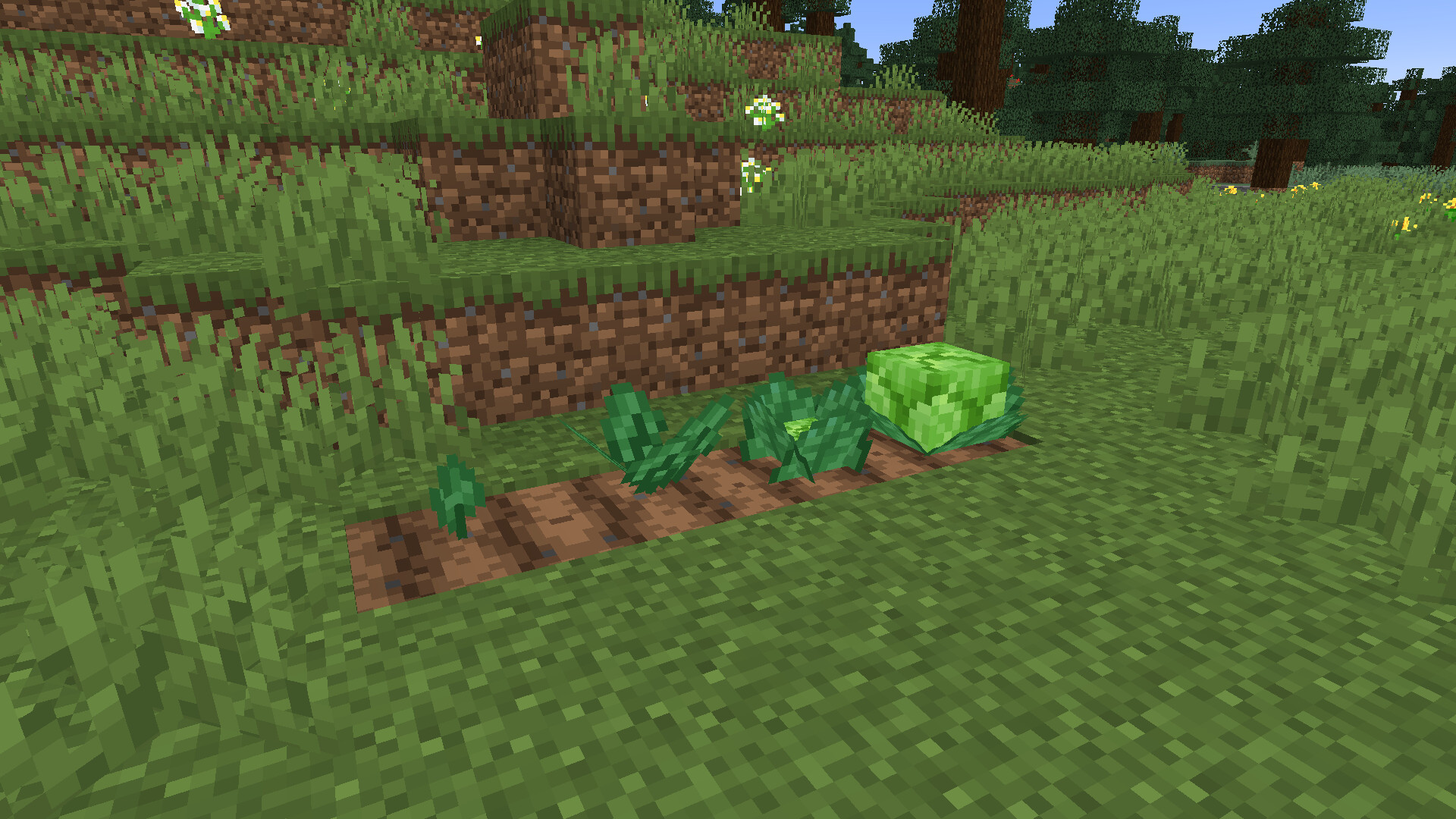 Beets 2 Cabbages Minecraft Texture Pack