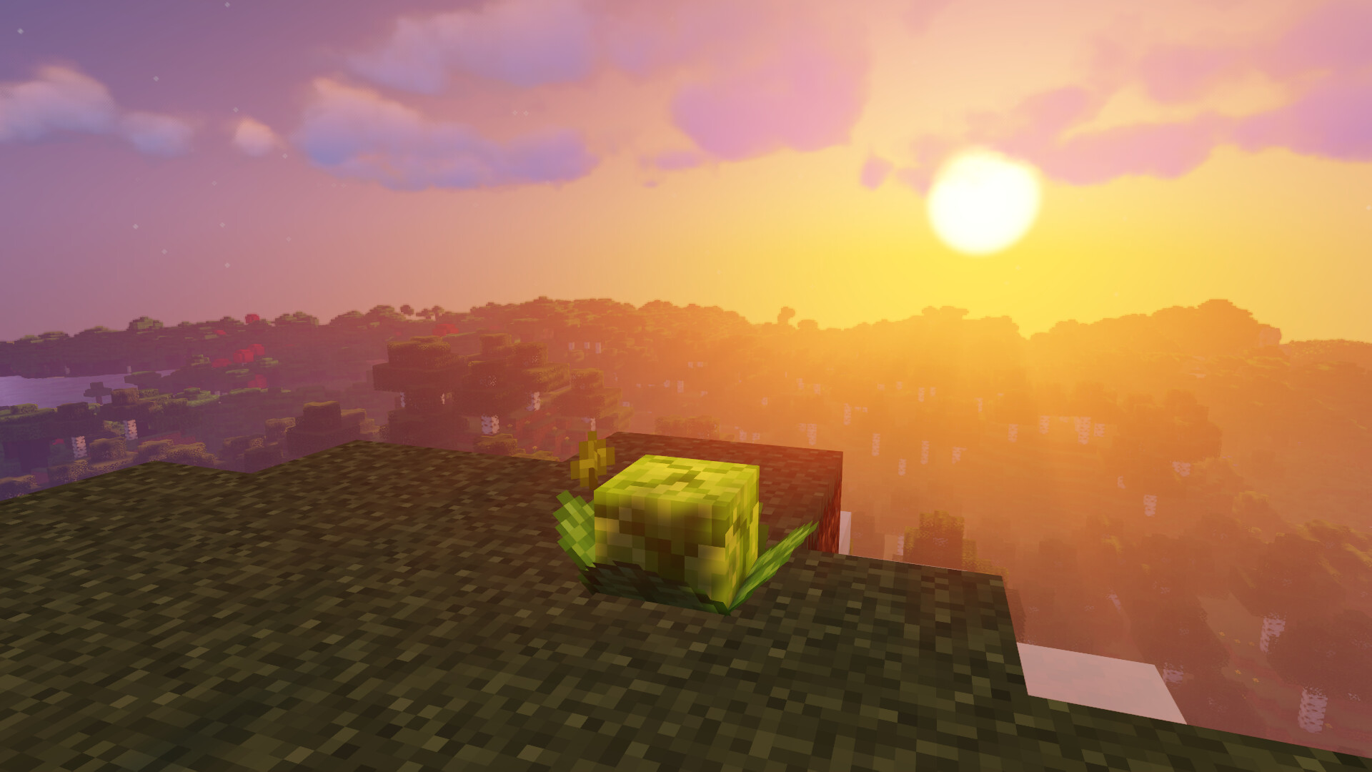 Beets 2 Cabbages Minecraft Texture Pack