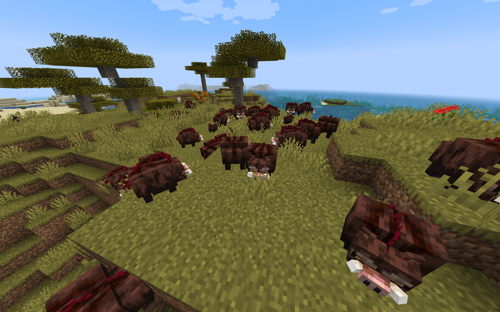 boars Minecraft Texture Pack