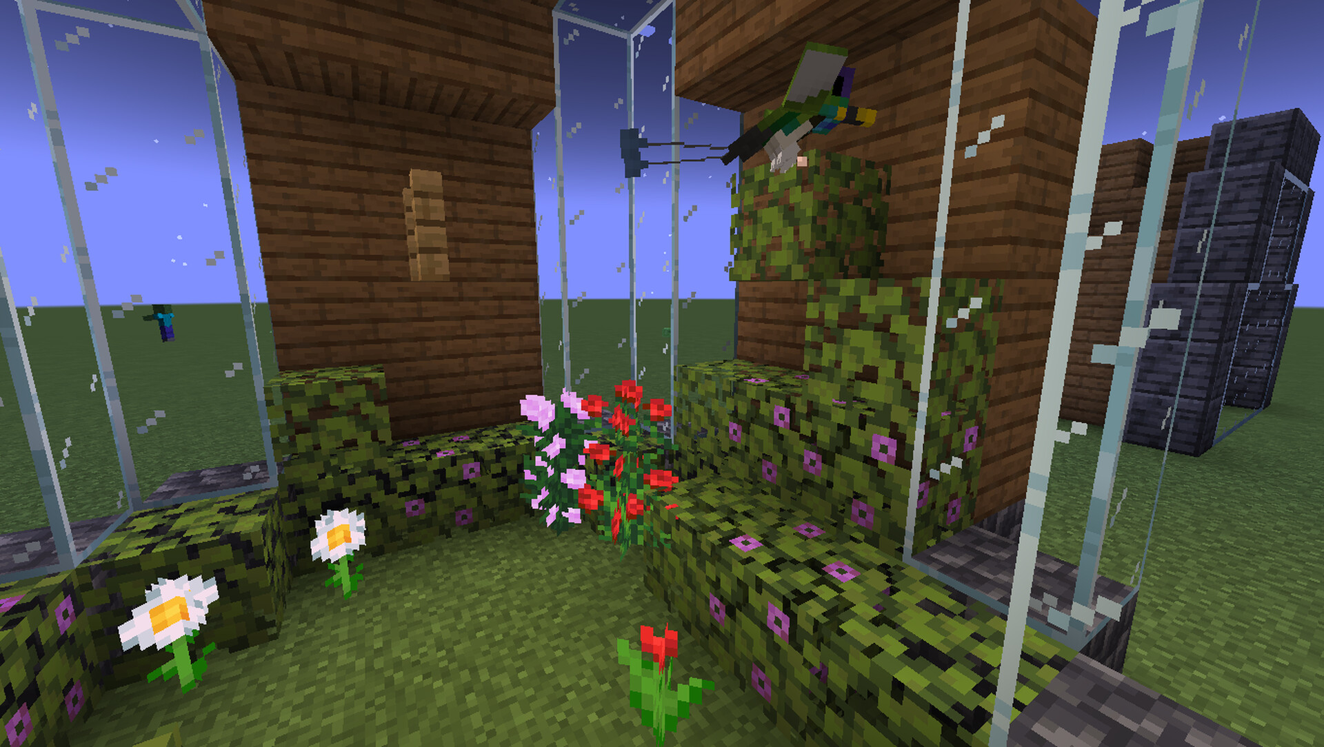 Hummingbird (bee) Minecraft Texture Pack