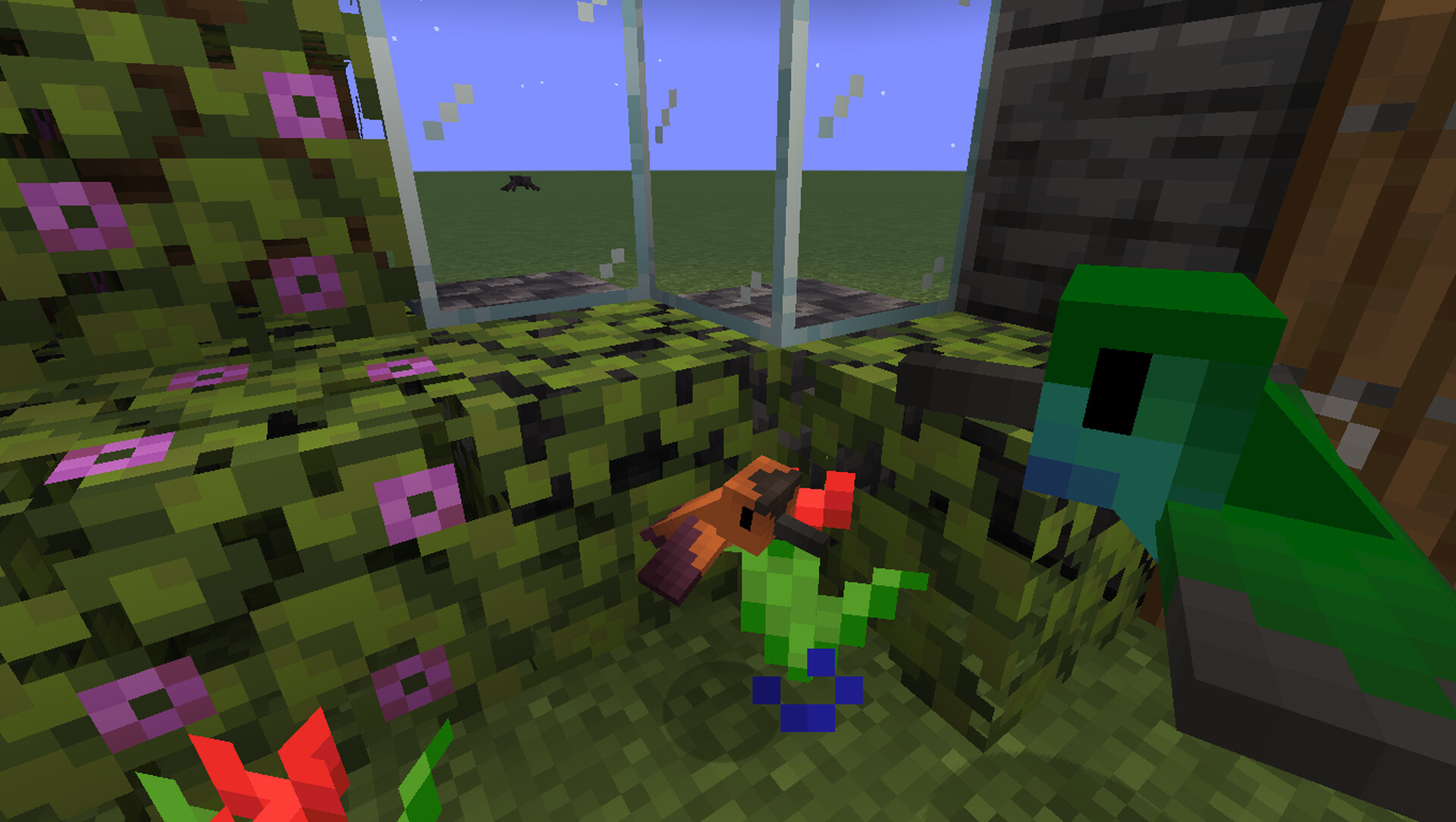 Hummingbird (bee) Minecraft Texture Pack