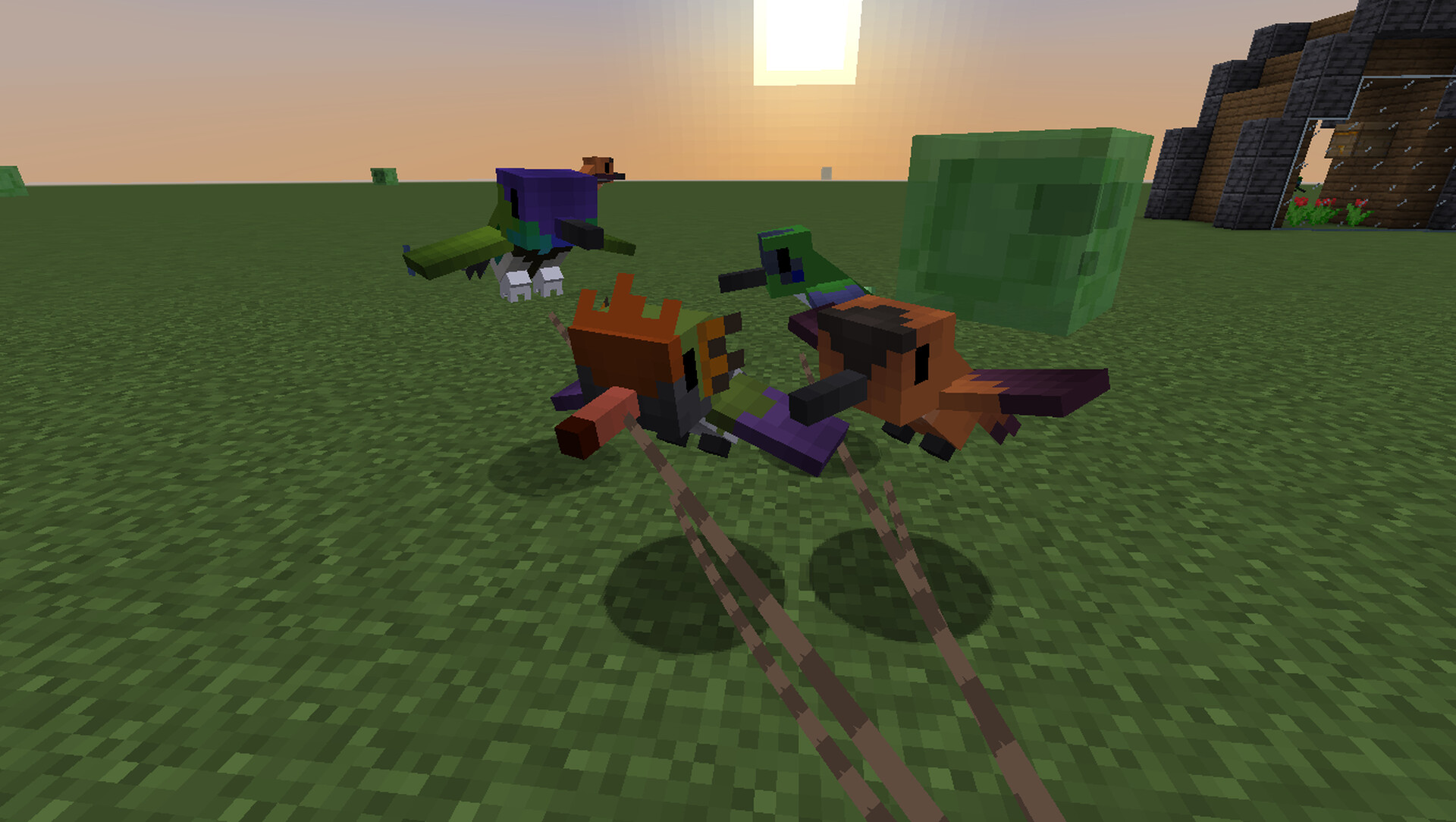 Hummingbird (bee) Minecraft Texture Pack