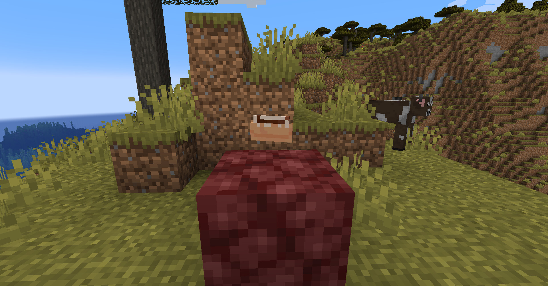 CINNAMON ROLLS Minecraft Texture Pack