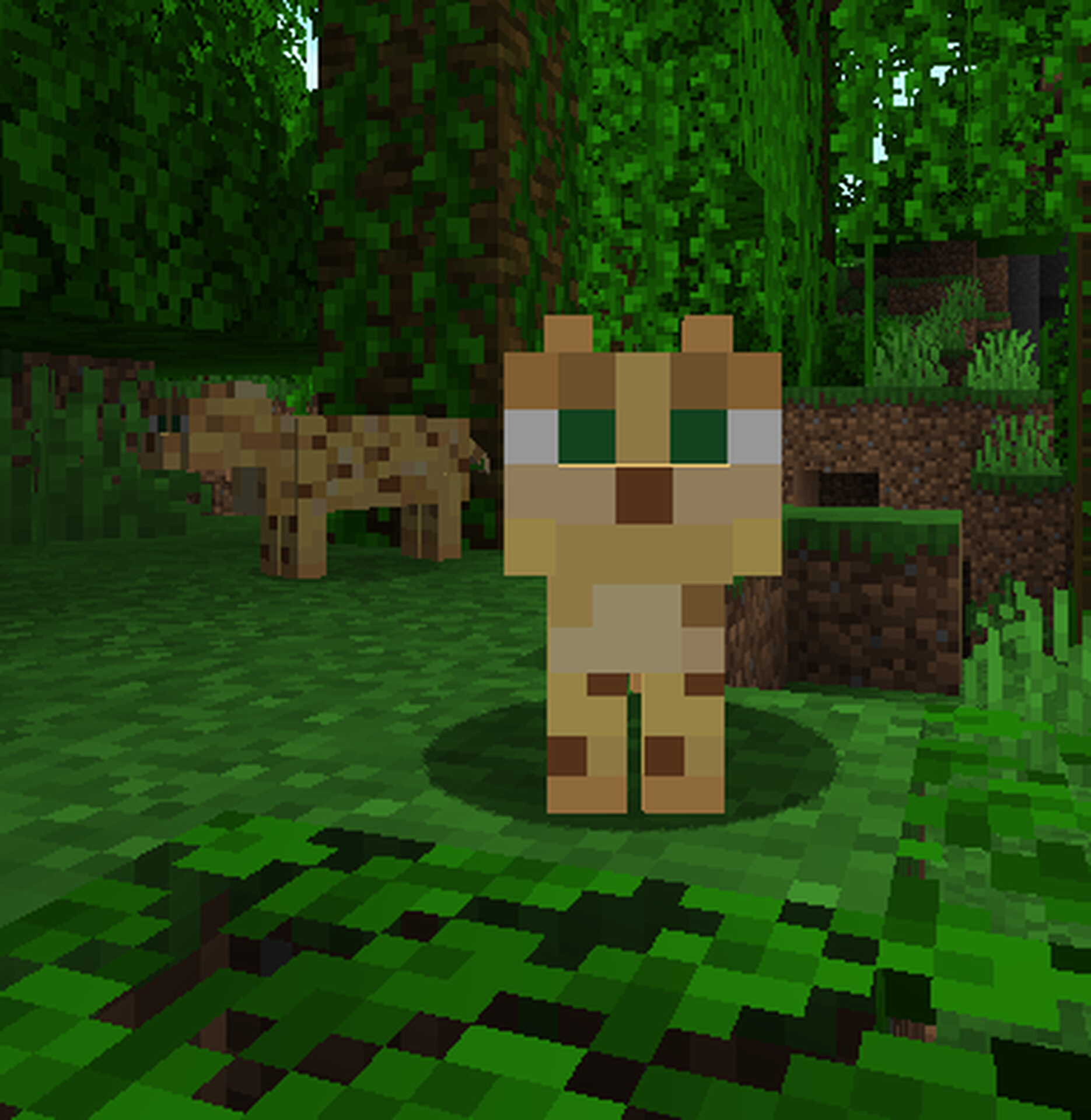 Koalas Minecraft Texture Pack