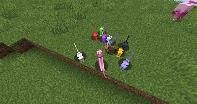 Axolotls. Minecraft Texture Pack