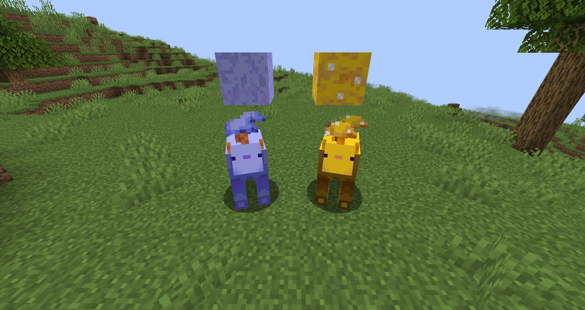 Axolotls. Minecraft Texture Pack