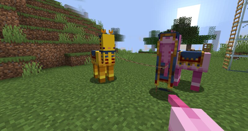 Axolotls. Minecraft Texture Pack