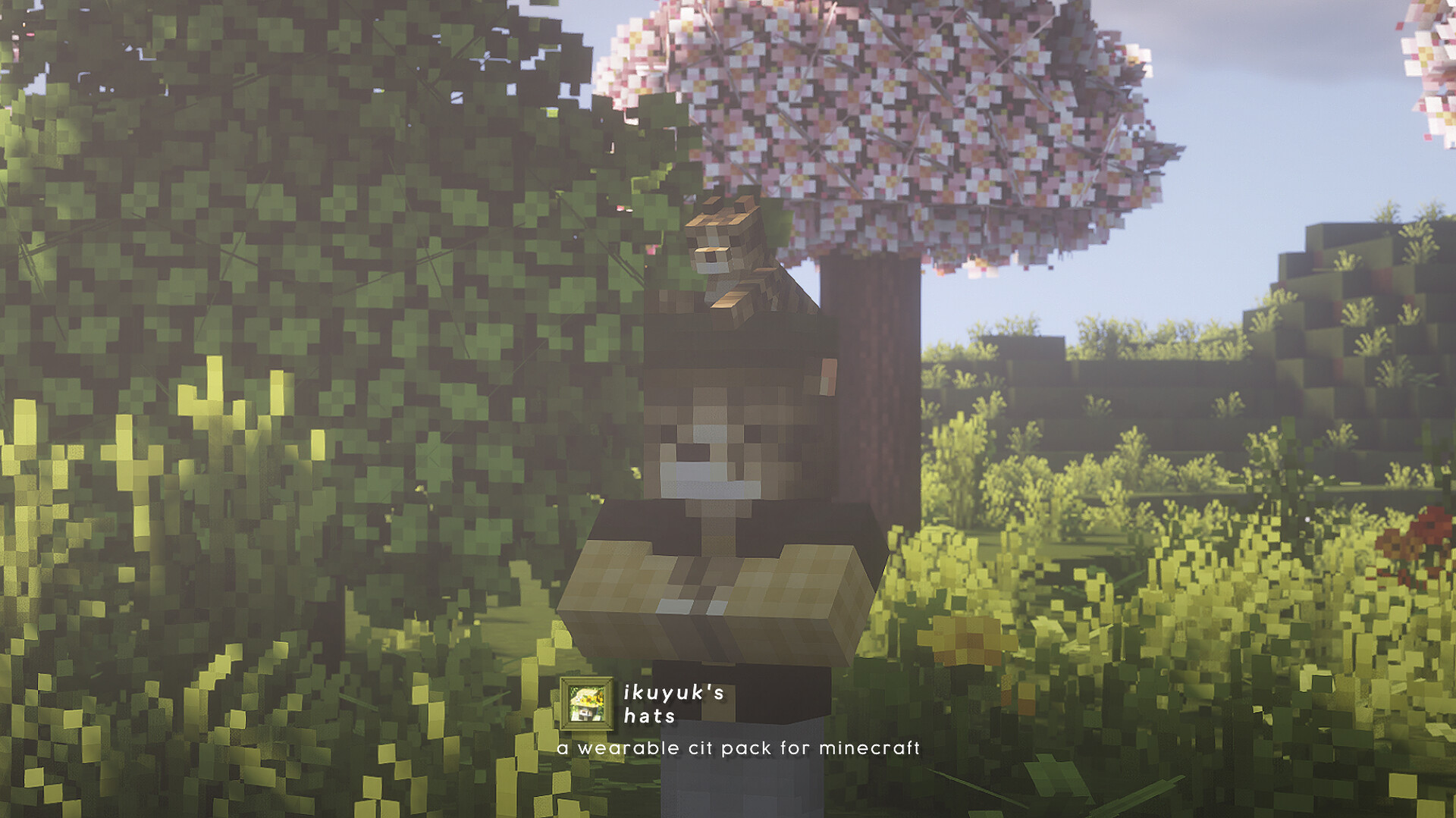 Ikuyuk's Hats Minecraft Texture Pack