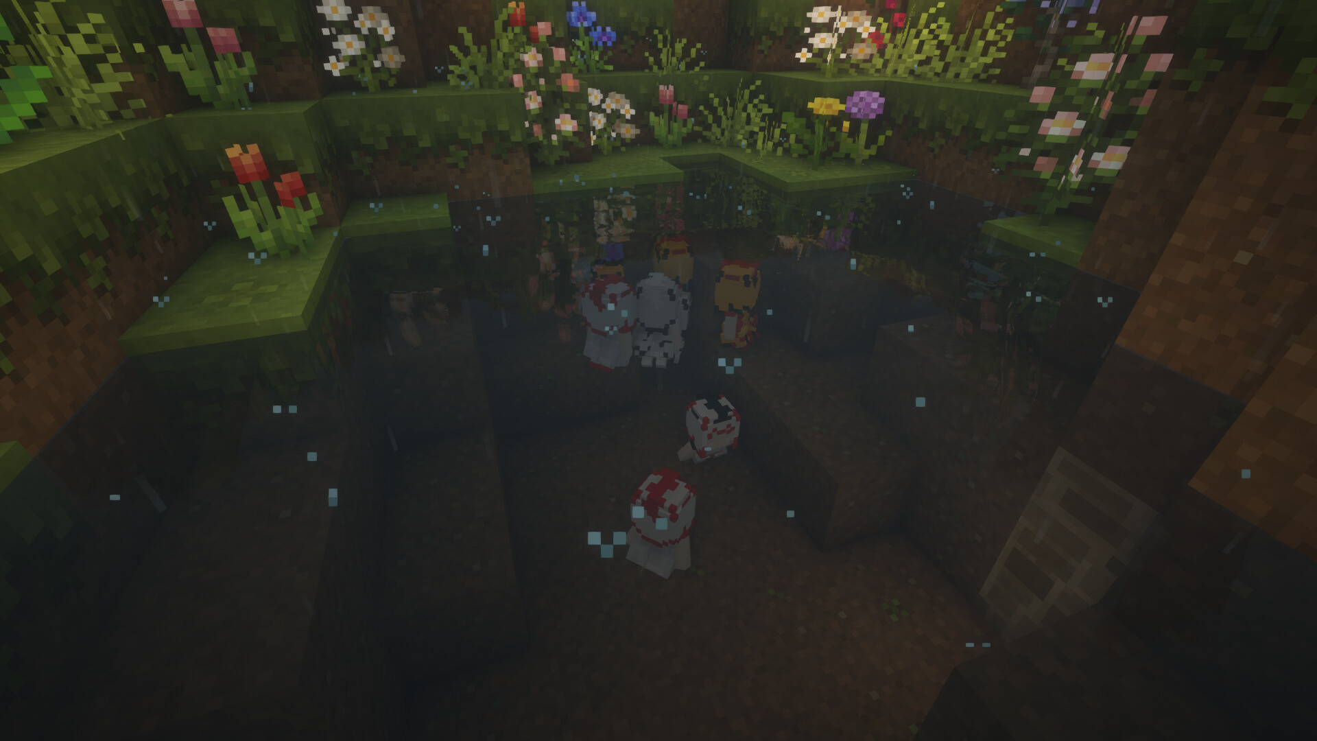 Koi Fish add-on for Cute Mob Models (CMM) Minecraft Texture Pack