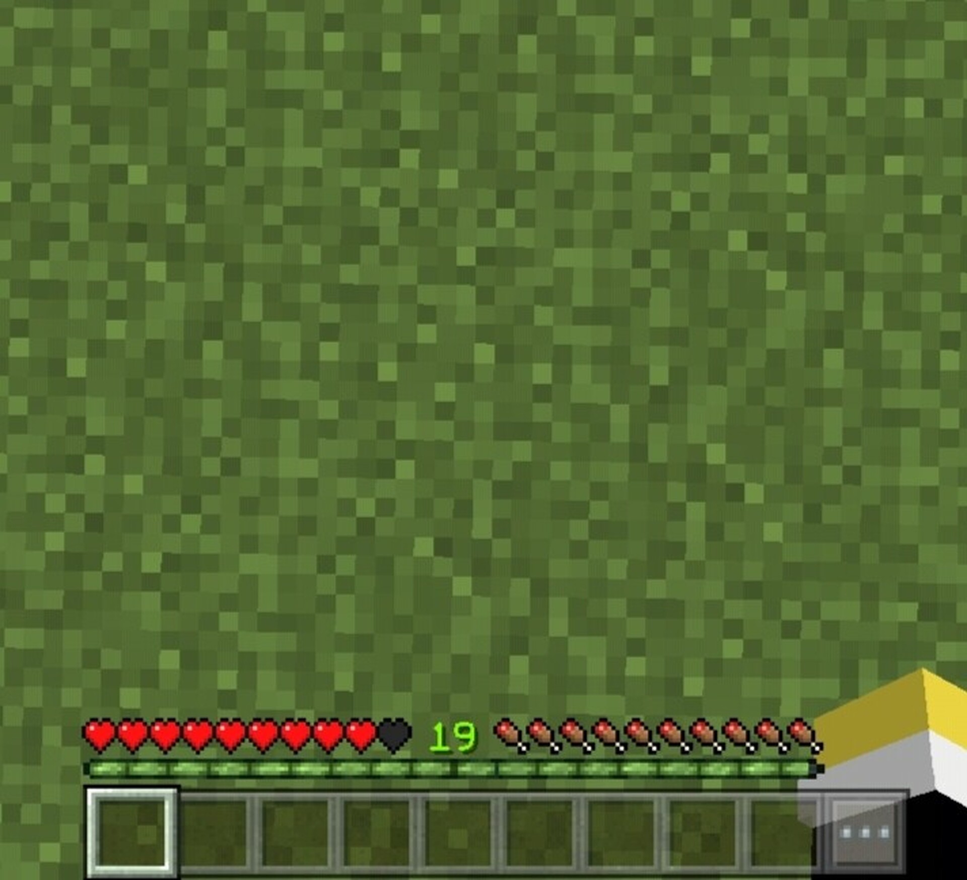 Java XP Bar Minecraft Texture Pack