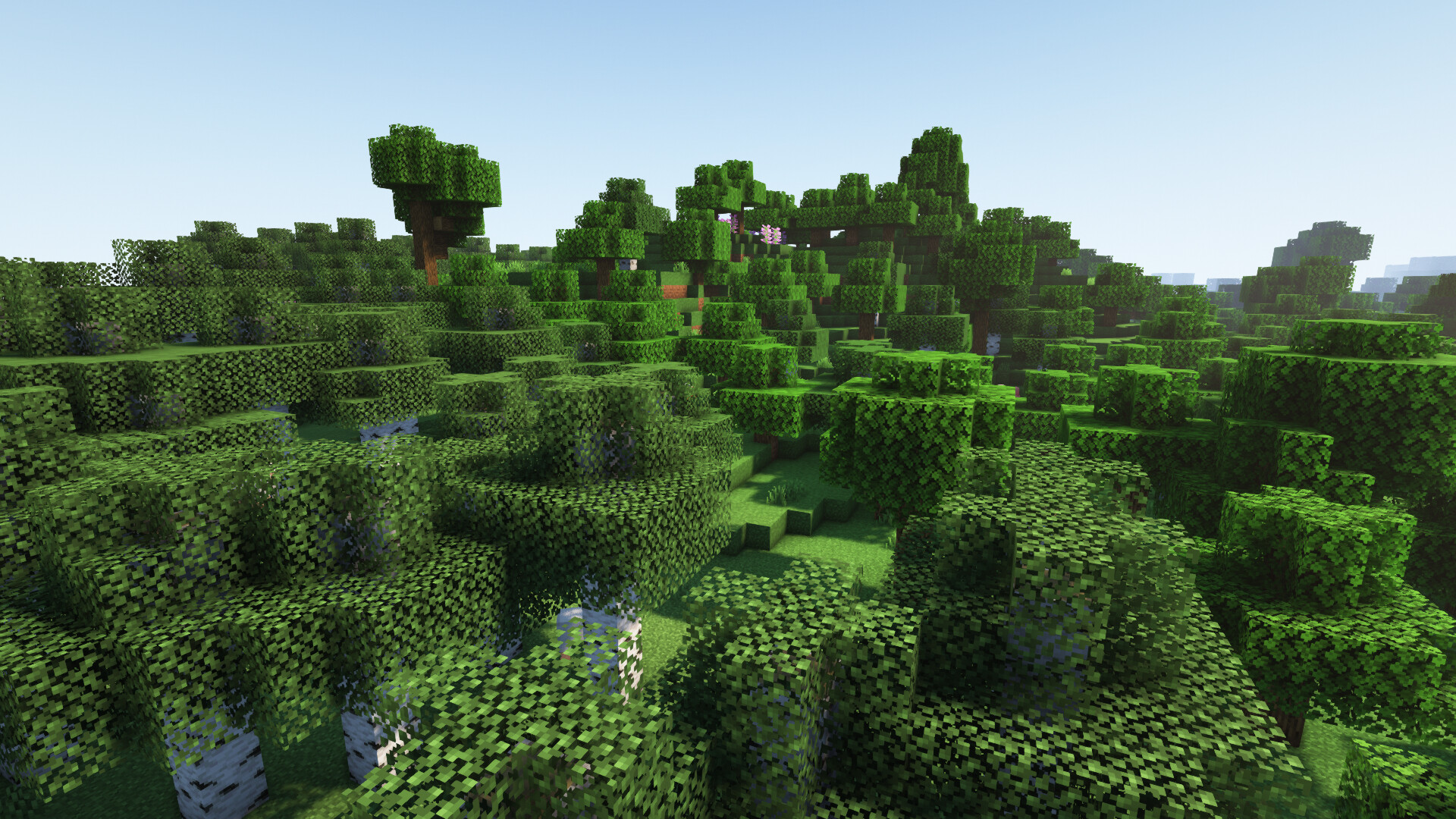 Birch Colormap Minecraft Texture Pack