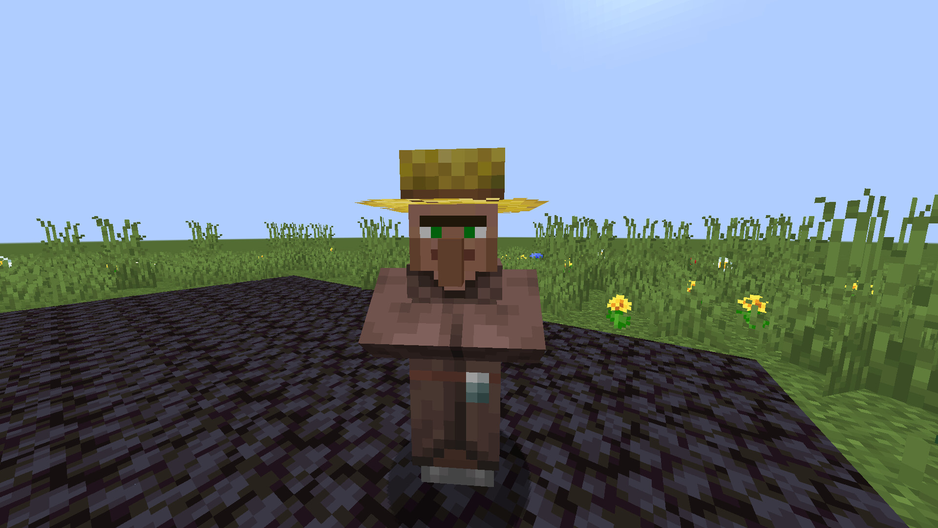 Pillager diamond Minecraft Texture Pack