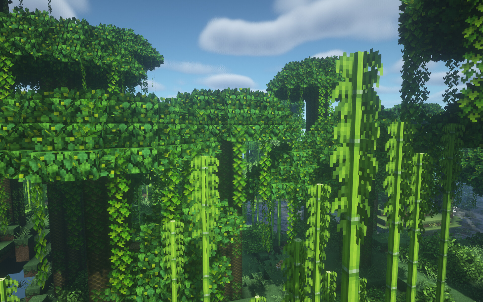 Gali's Bushy Leaves | Mizuno's 16 Craft Add-on Minecraft Texture Pack