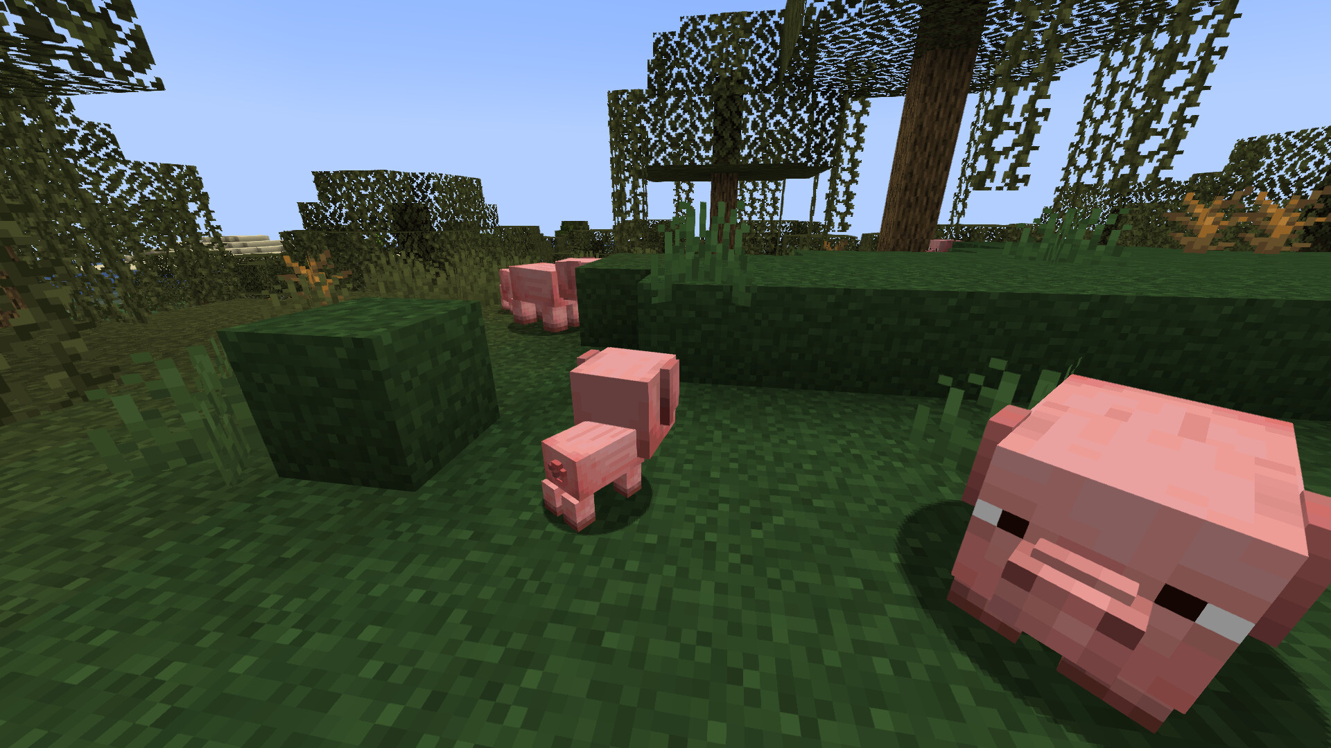 Saku's Better Pigs Minecraft Texture Pack