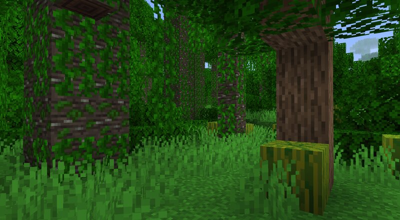 Realistic Wood Minecraft Texture Pack