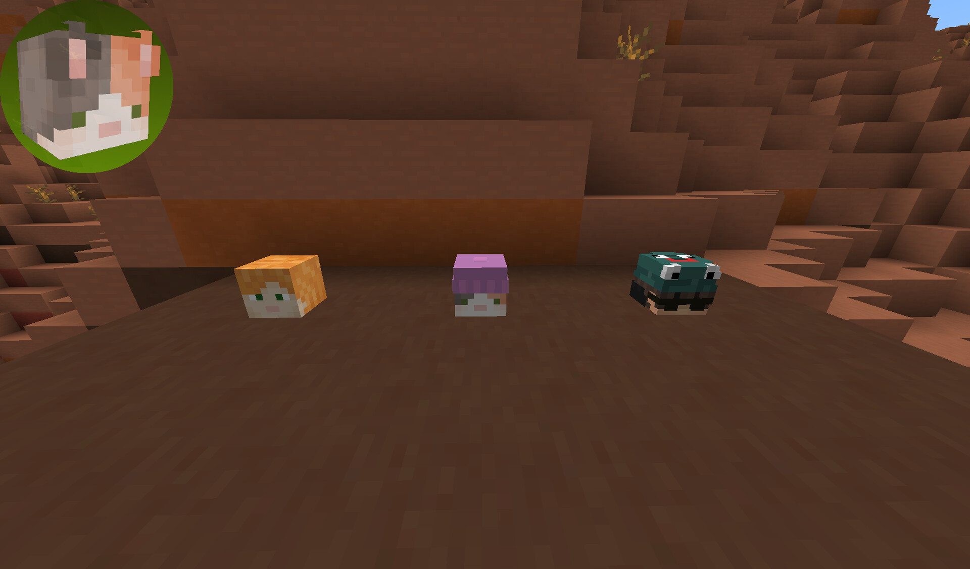 Head2Player [OptiFine] Minecraft Texture Pack