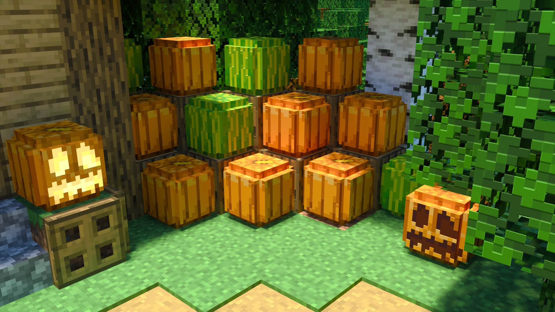 Better Pumpkin Plants [MCBE] Minecraft Texture Pack