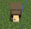 kiwi chickens Minecraft Texture Pack