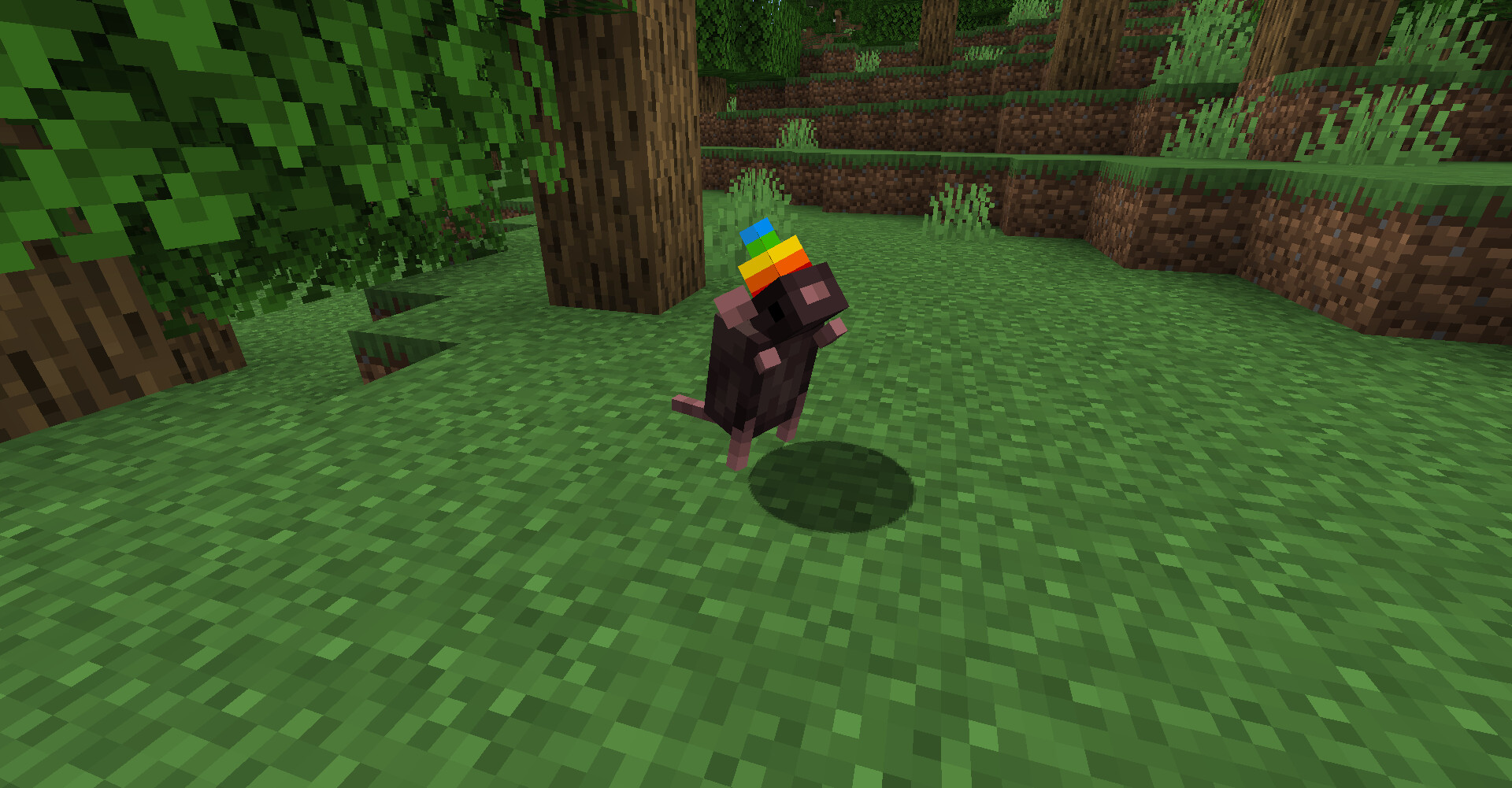 zozo Rat's Mischief Minecraft Texture Pack