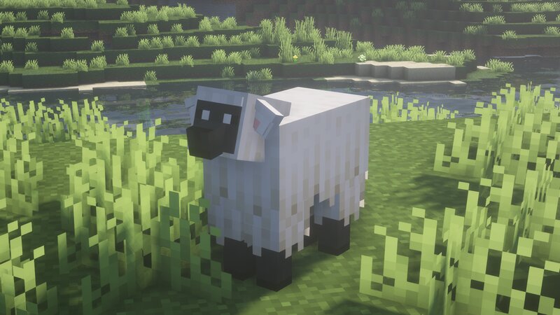 Remodeled Sheep 🐑 Minecraft Texture Pack