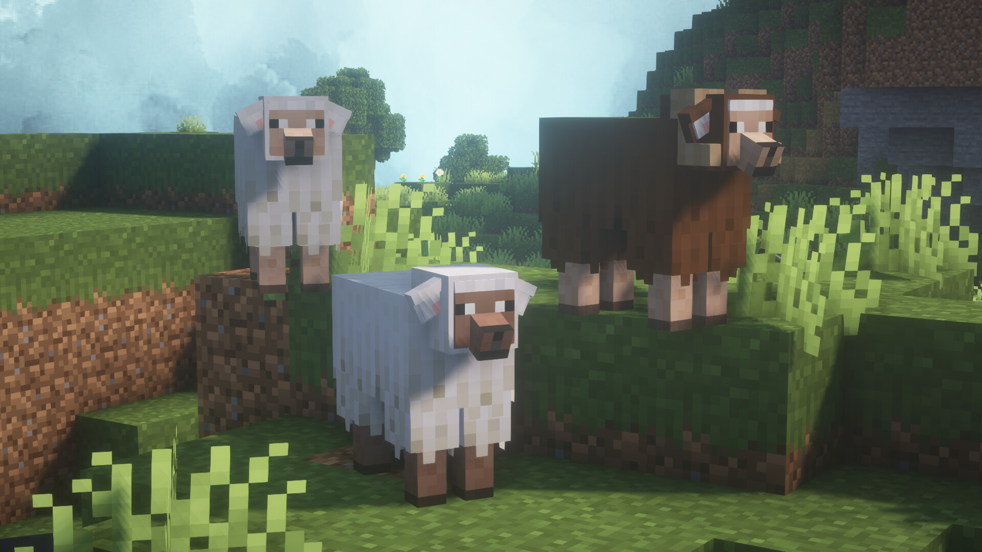 Remodeled Sheep 🐑 Minecraft Texture Pack