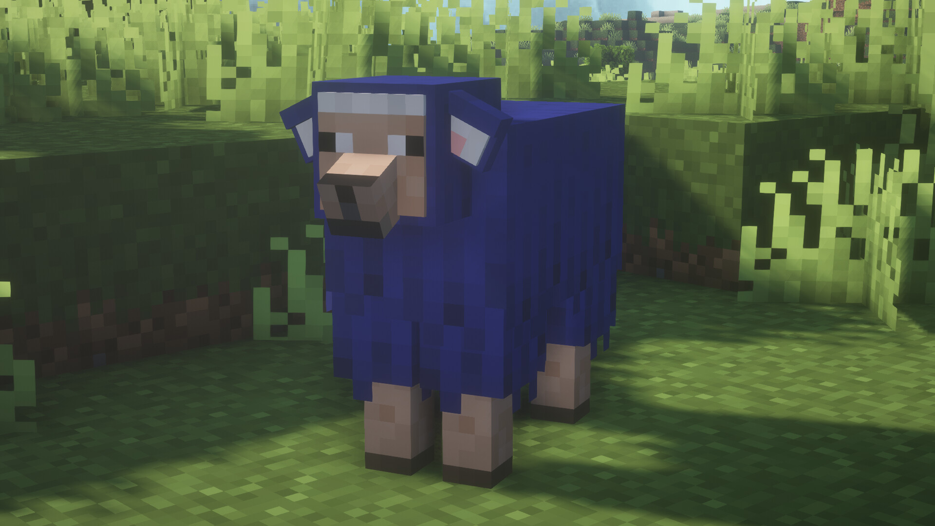 Remodeled Sheep 🐑 Minecraft Texture Pack