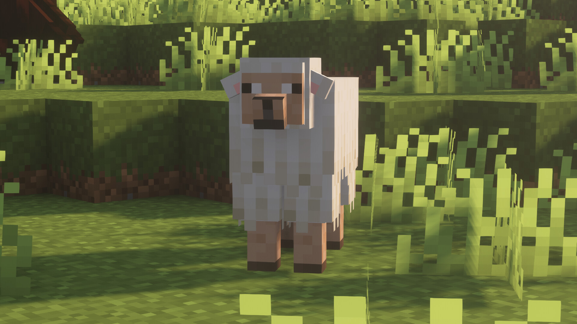 Remodeled Sheep 🐑 Minecraft Texture Pack