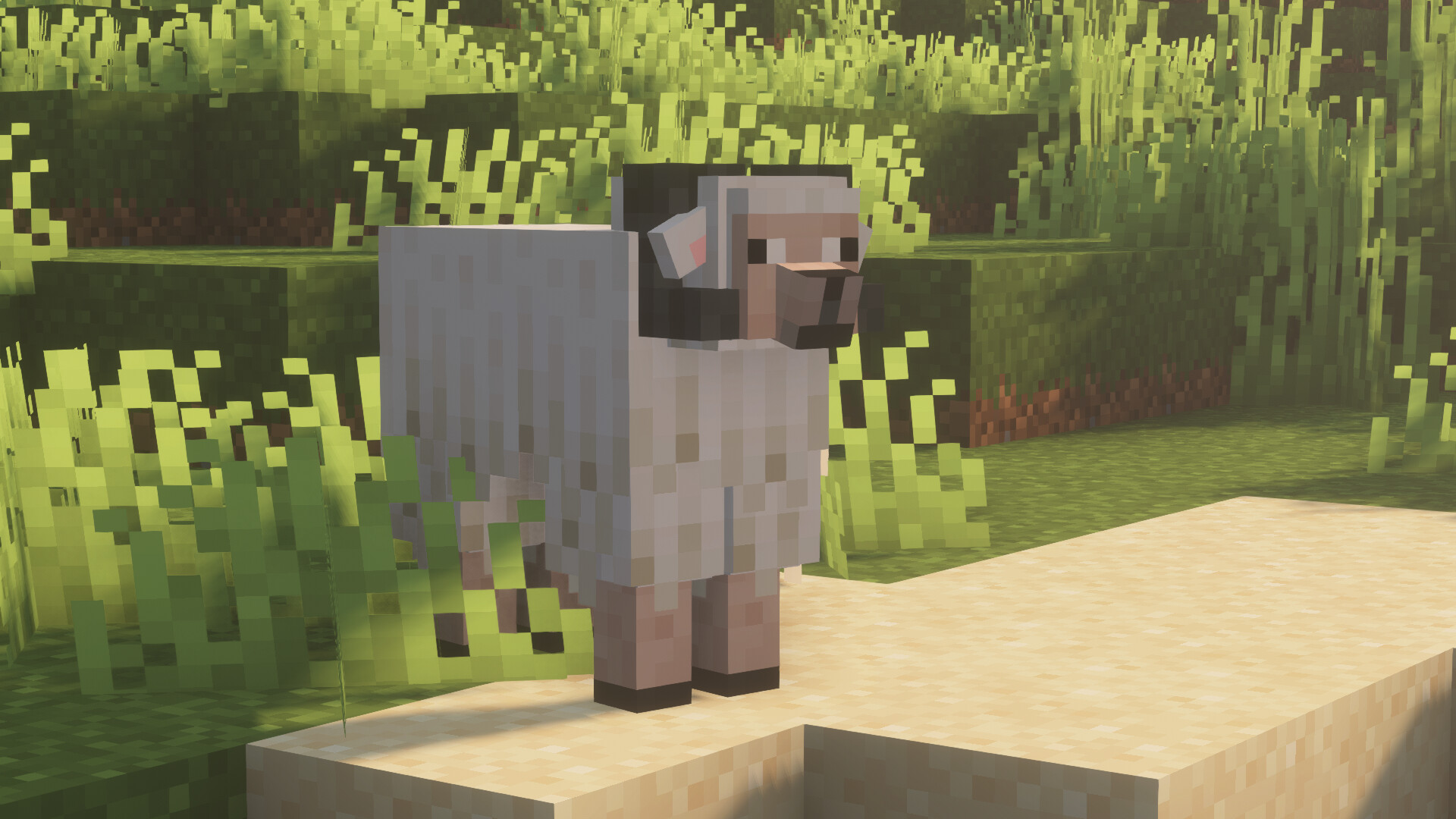 Remodeled Sheep 🐑 Minecraft Texture Pack