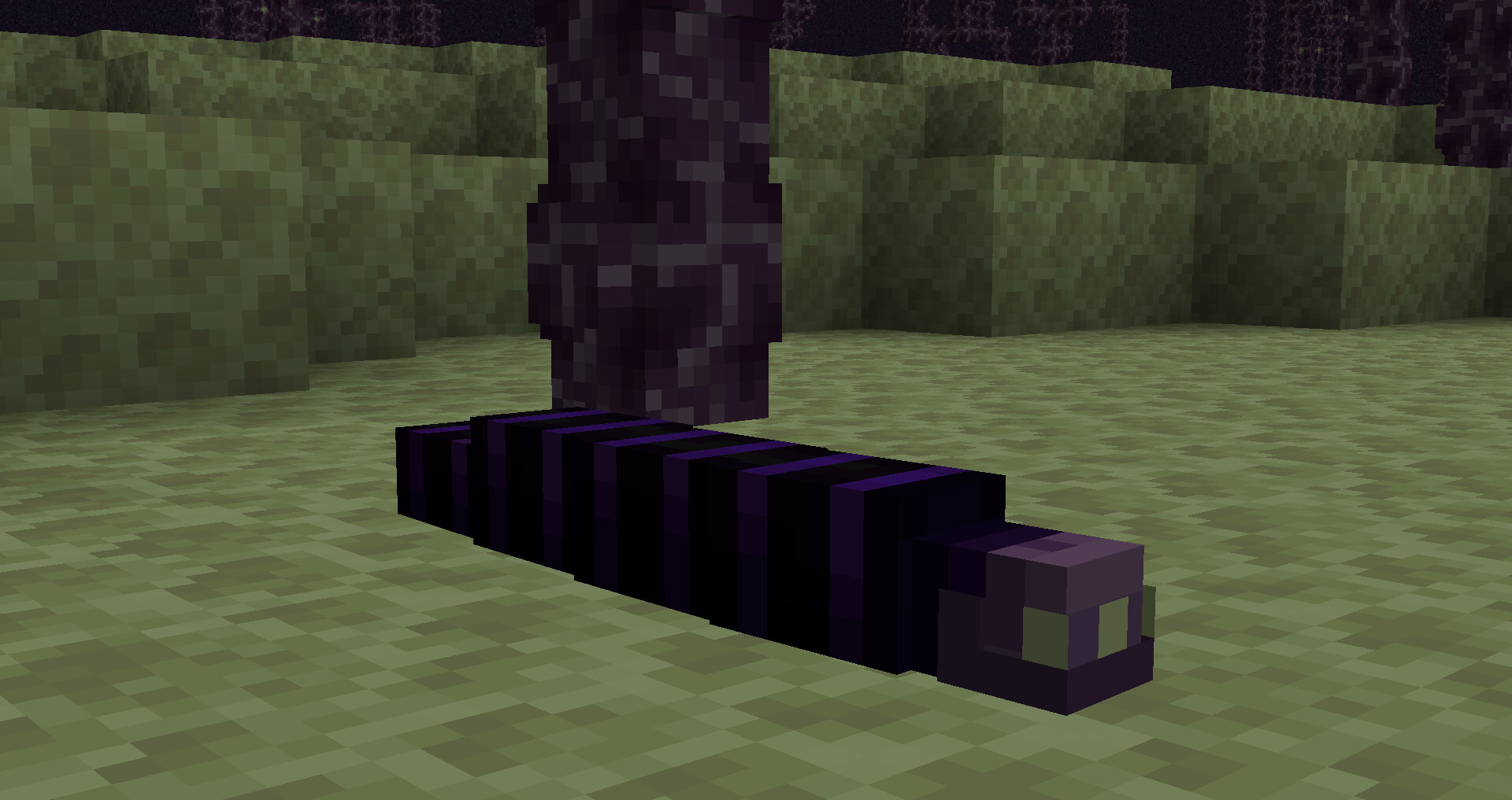 Endermite -> Ender Worm Minecraft Texture Pack
