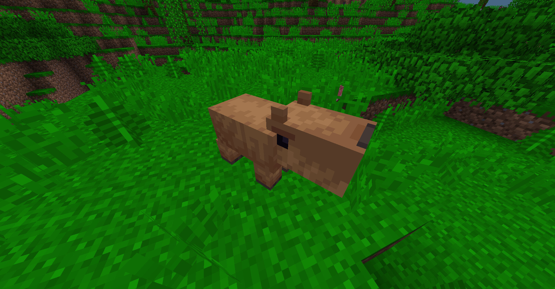 Wild Life+ (Beta) Minecraft Texture Pack