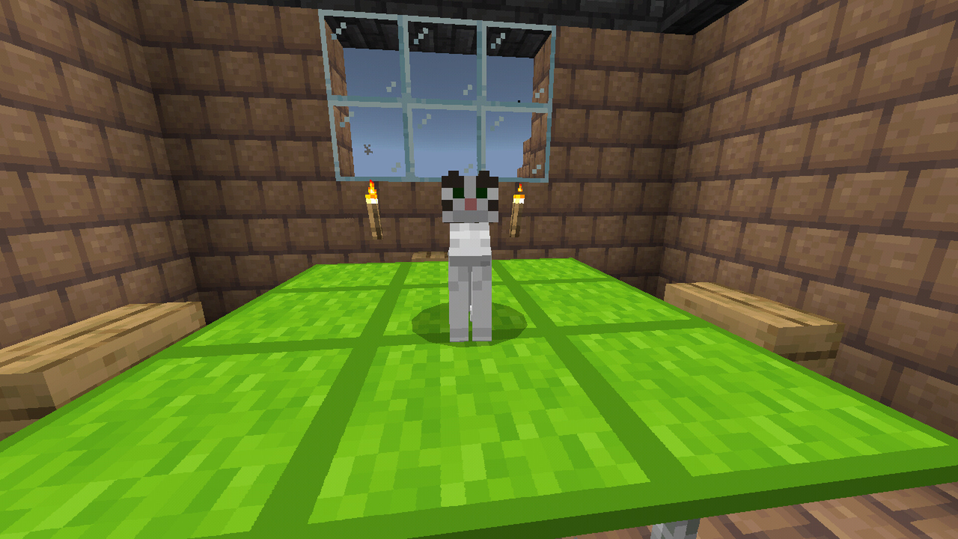 SirCat's Luquitas Bobicraft cat (Tuxedo) v1.2! Minecraft Texture Pack