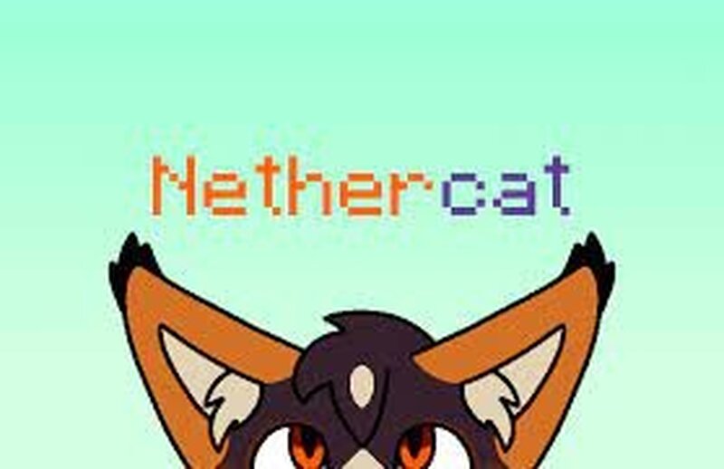NetherCat Minecraft Texture Pack