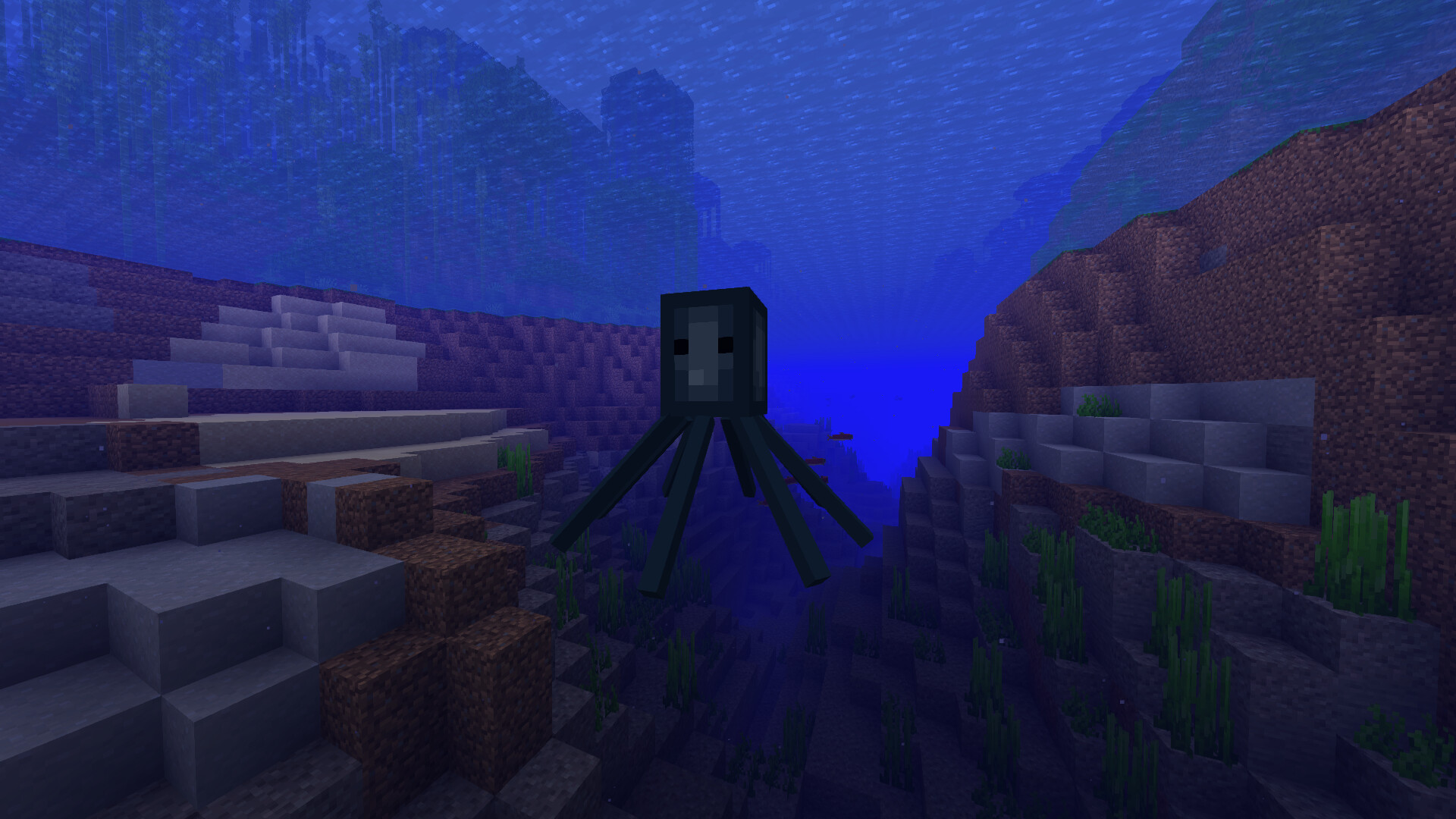 1.19 Smaller Squid! (Squid Reimagined) Optifine Required (Cute Squid ...