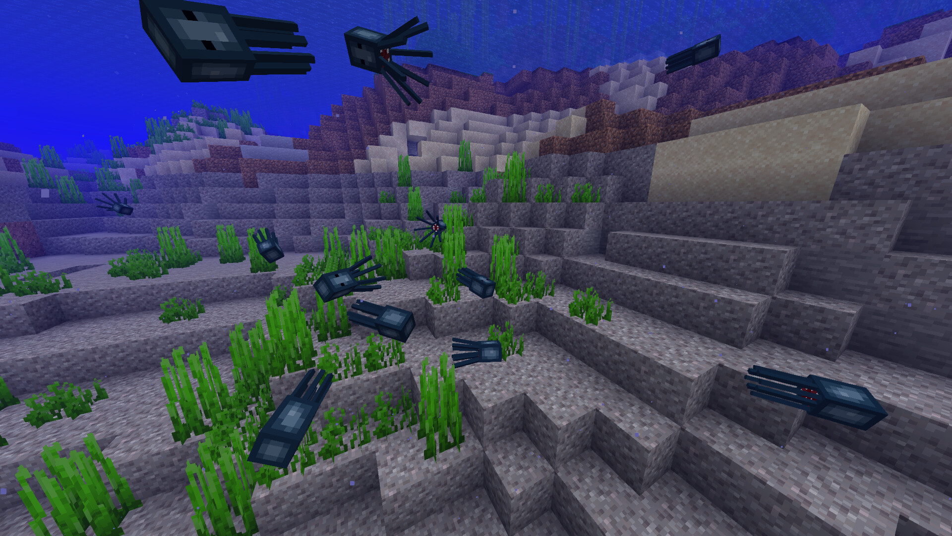 1.19 Smaller Squid! (Squid Reimagined) Optifine Required (Cute Squid ...