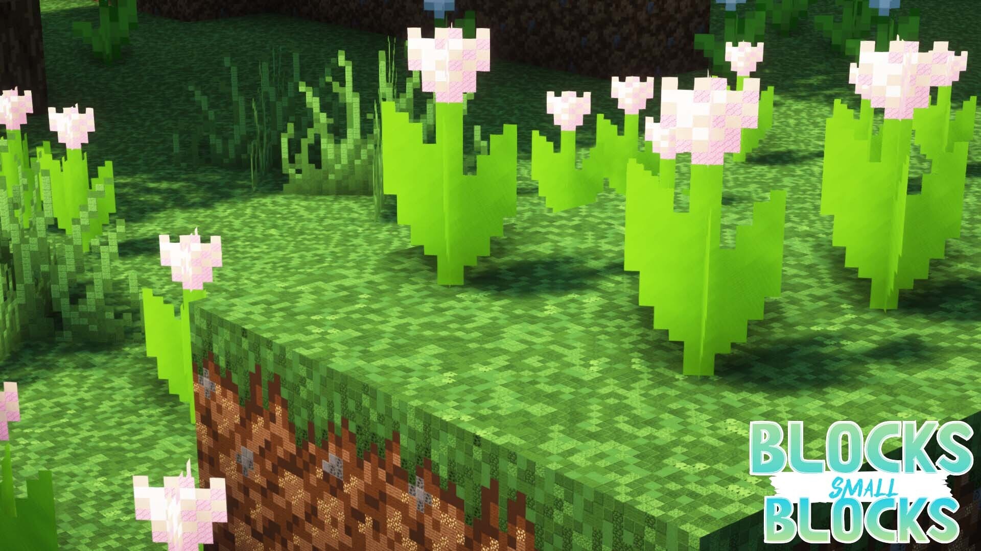 Blocks Small Blocks 1024x Minecraft Texture Pack