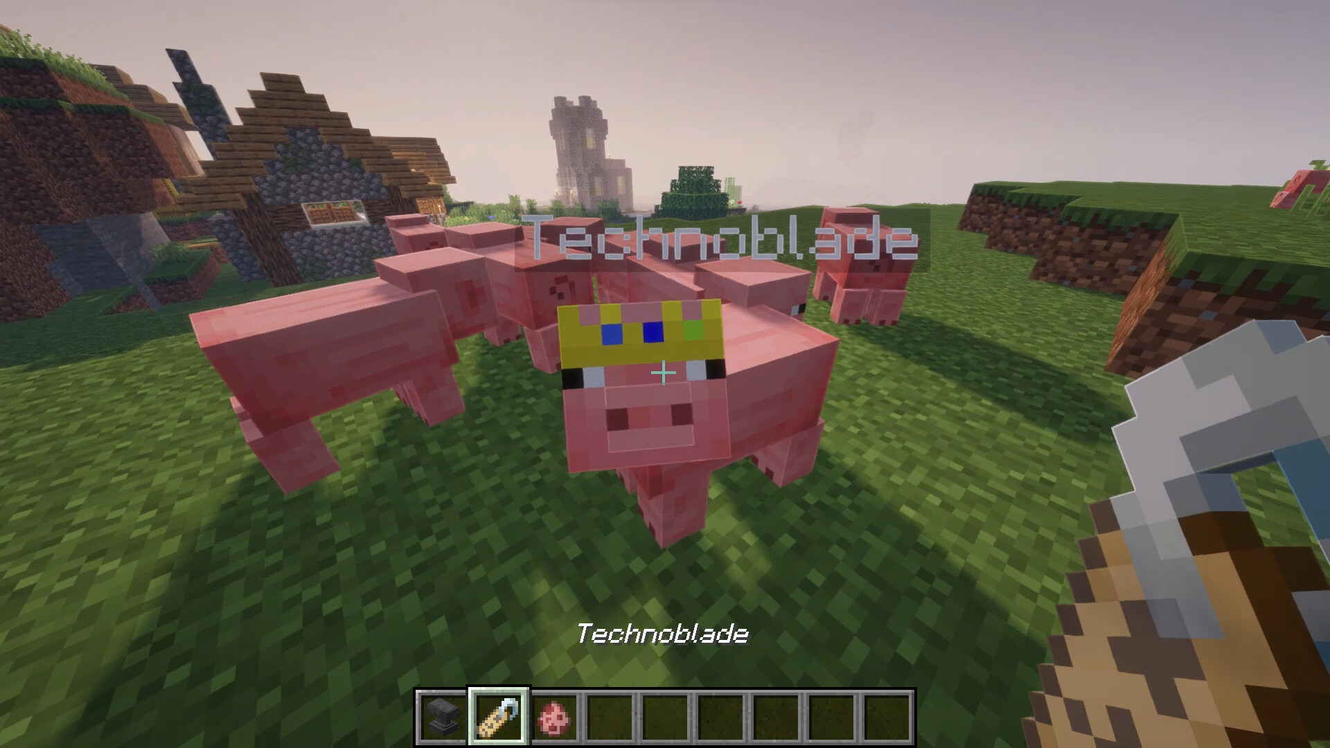 Technoblade Pigs Minecraft Texture Pack