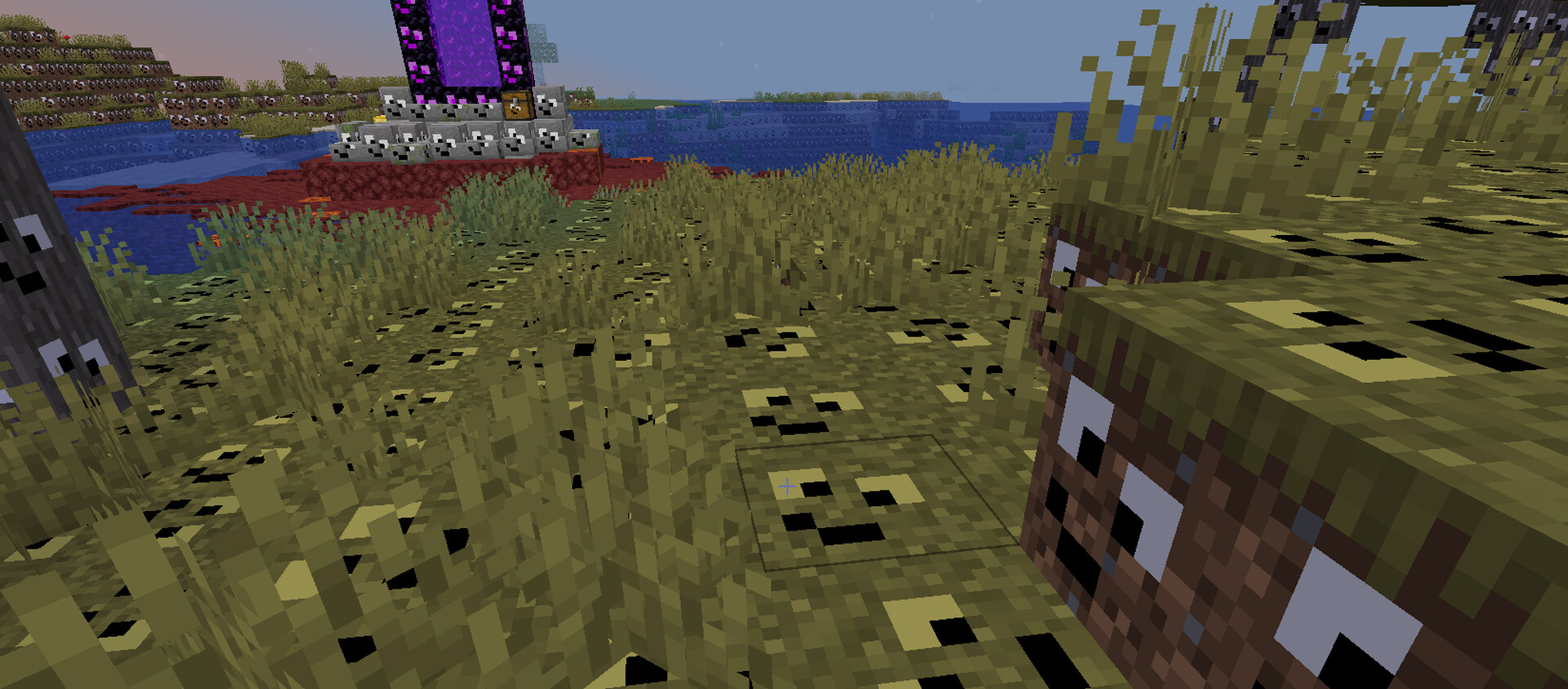 Vladsuper31 face everywhere 1.19.3 Minecraft Texture Pack