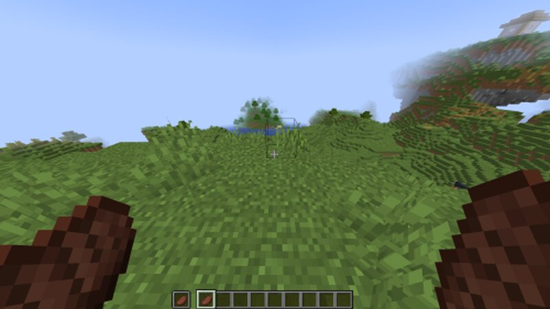 Cooked Pork Chops Minecraft