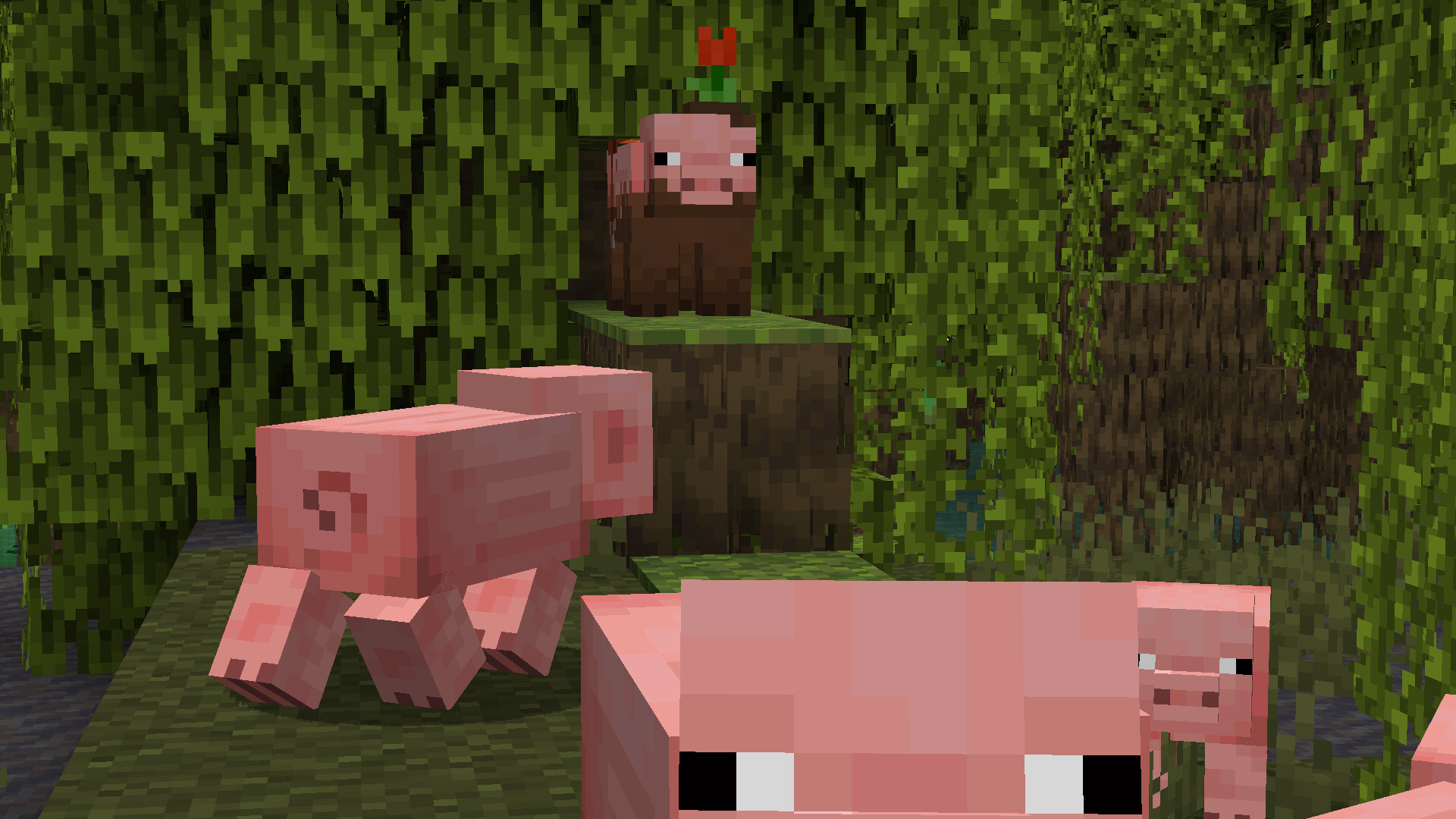 Muddy Pigs Minecraft Texture Pack
