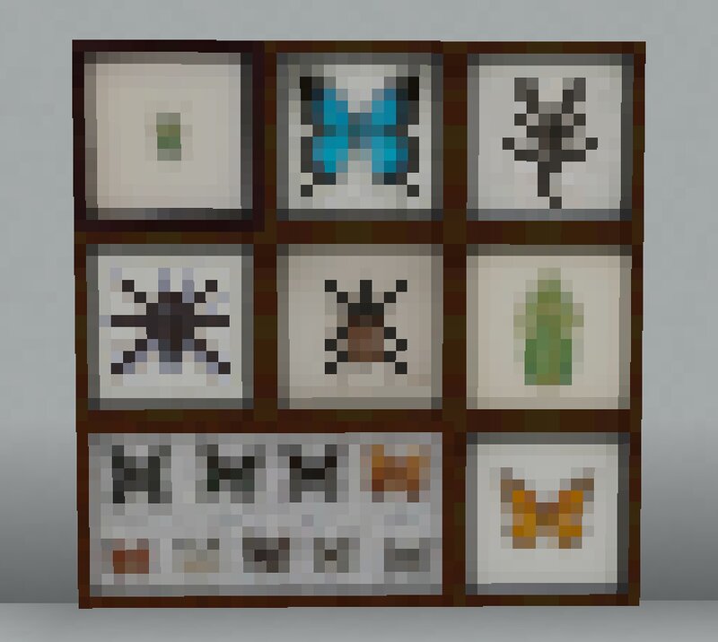 Framed Insect Paintings Minecraft Texture Pack