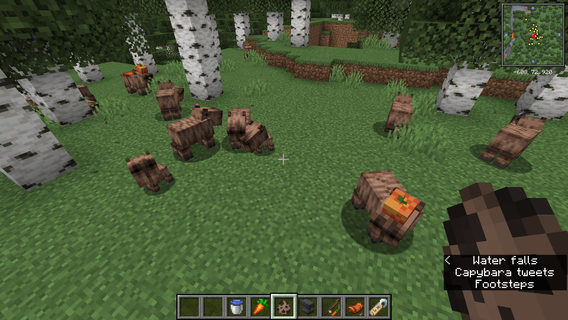 Capybara Minecraft Texture Pack