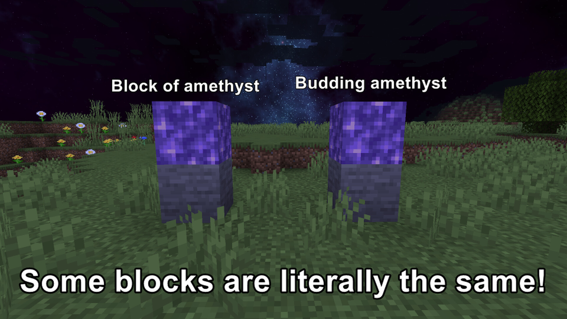 Pockity's Slighty Cursed Pack! Minecraft Texture Pack