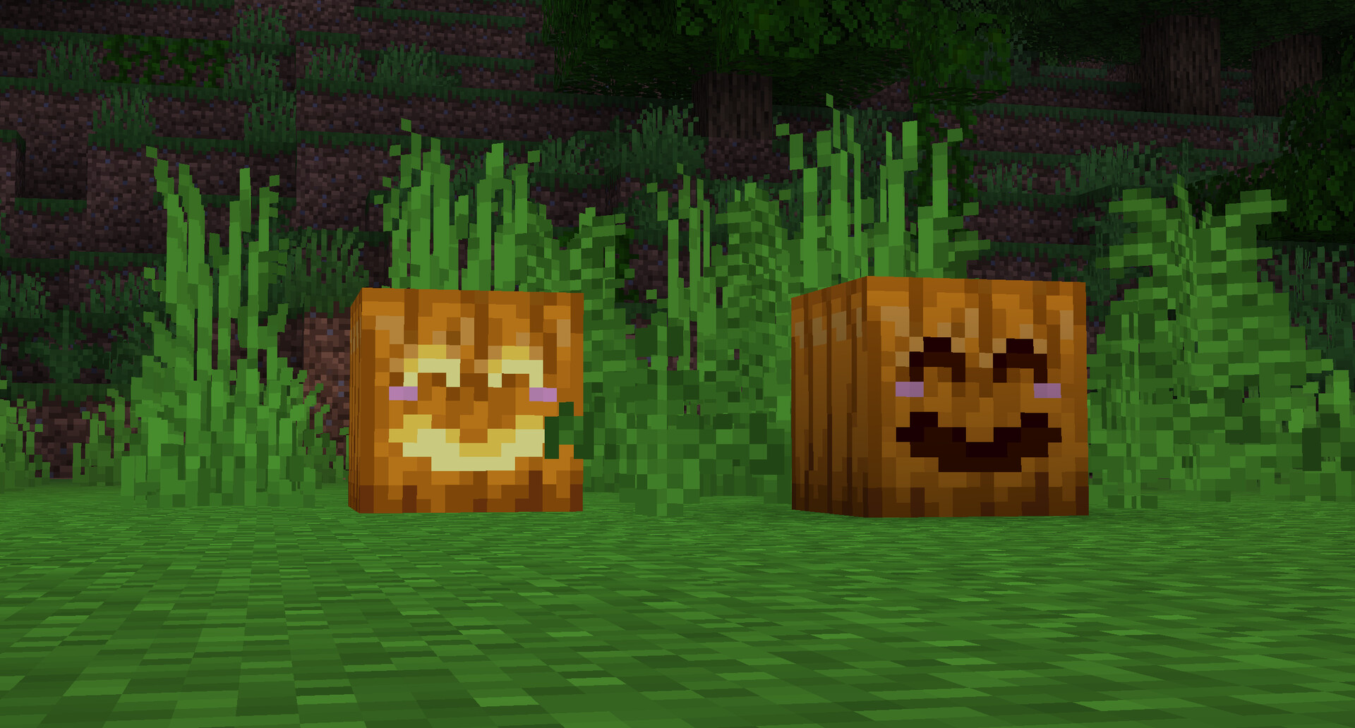Cute Pumpkins 1.16.4+ [1.19 Compatible] Minecraft Texture Pack