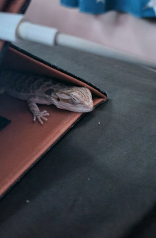 Pluto Minecraft Texture Pack