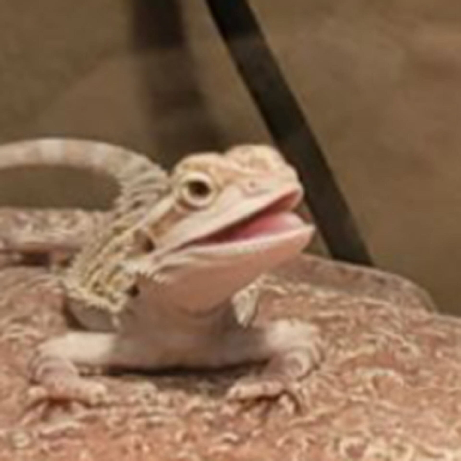 Pluto Minecraft Texture Pack